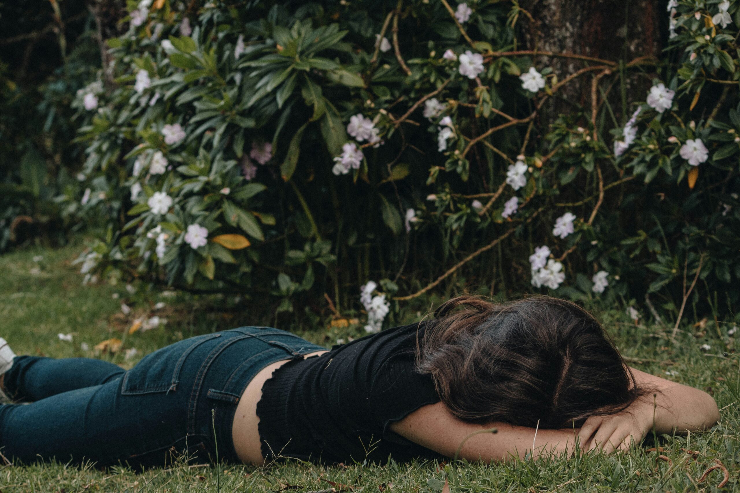 stuck in “functional freeze”? • East Dallas Therapy